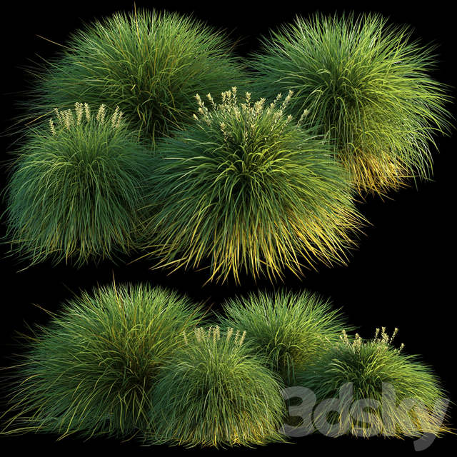 بوته مدرن شماره 127 – Modeleto